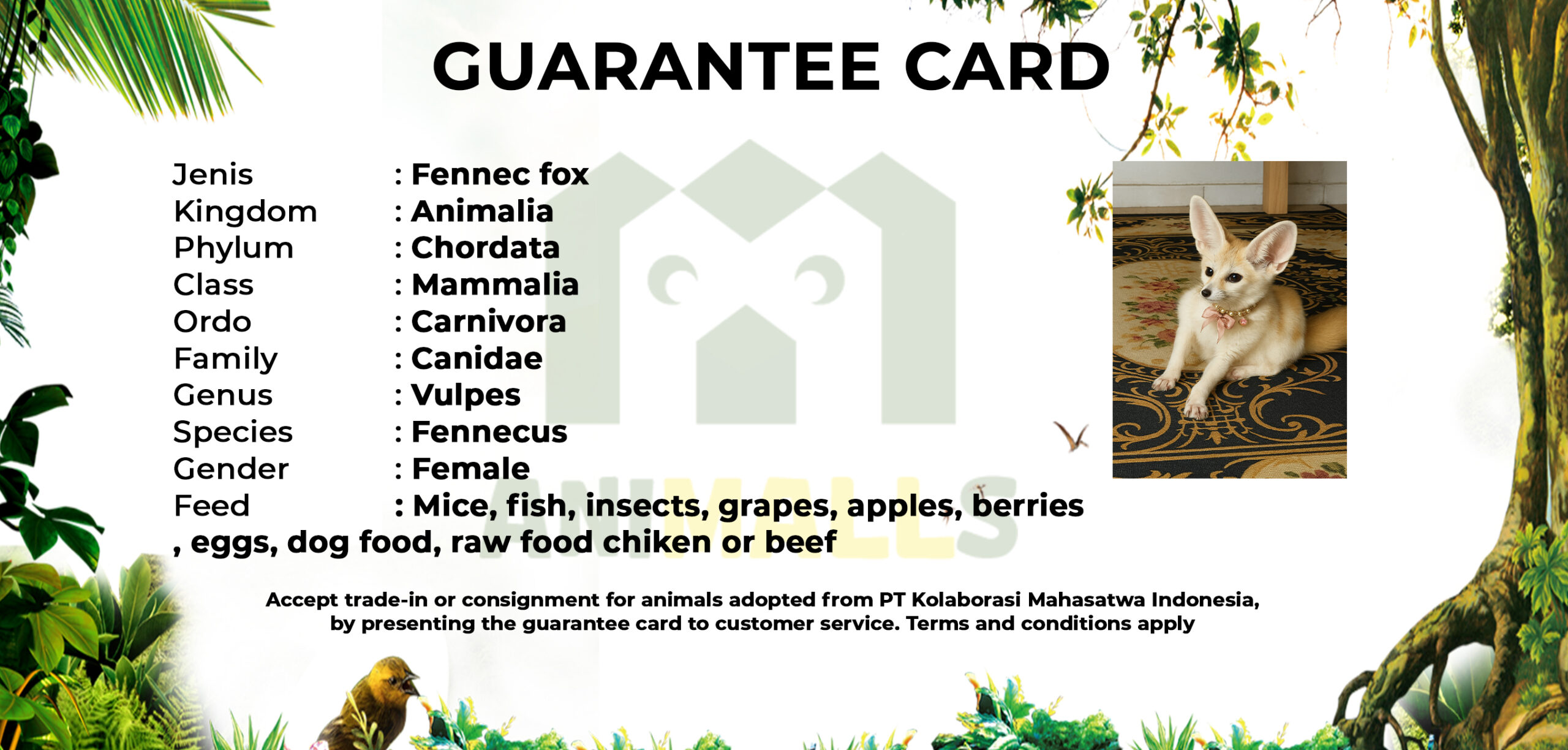 Mengenal 17 Hewan Eksotis unik dan langka yang wajib Animalls Lovers ...